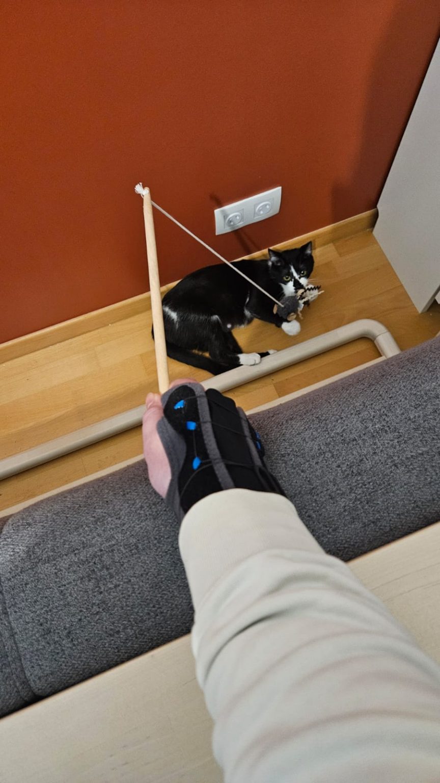 Yasmina – Orfélins